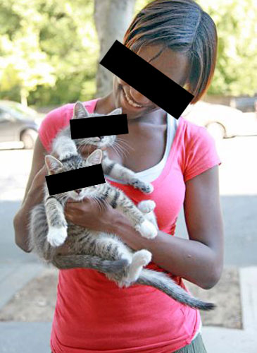 Slope woman gets a cat scam as free felines are later sold! • Brooklyn ...