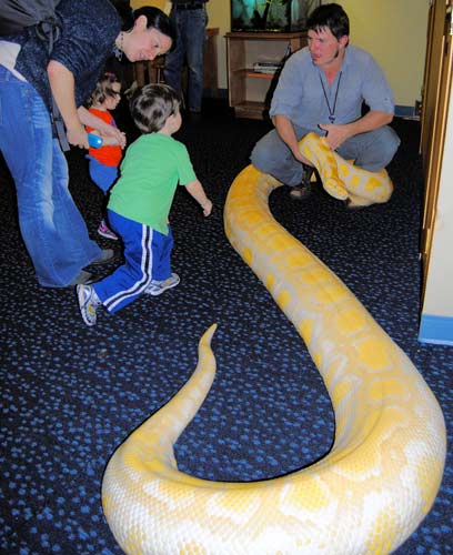 Fantasia slithers into young hearts • Brooklyn Paper