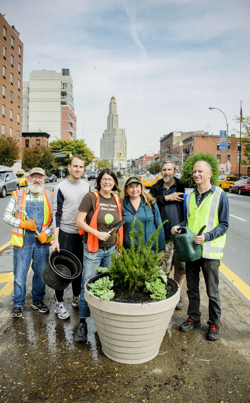 Green sweep! Volunteers clean and green Park Slope’s Fourth Avenue ...