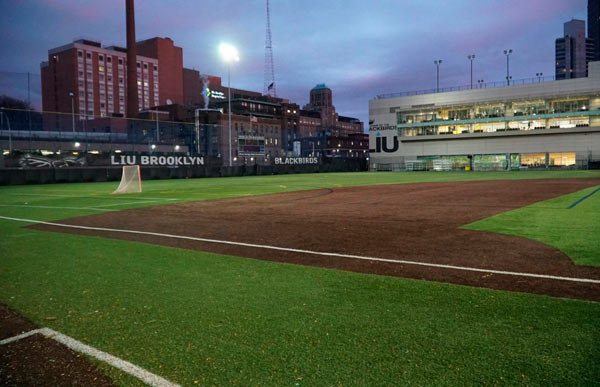 Live and learn: LIU, developers strike deal to erect hybrid school ...