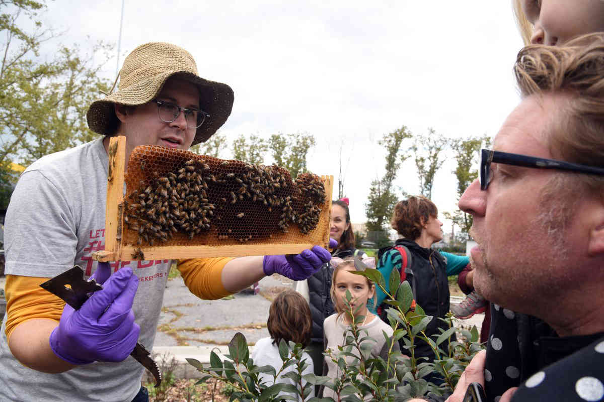 Playing in the dirt: Locals celebrate boro’s bounty at Red Hook farm’s ...