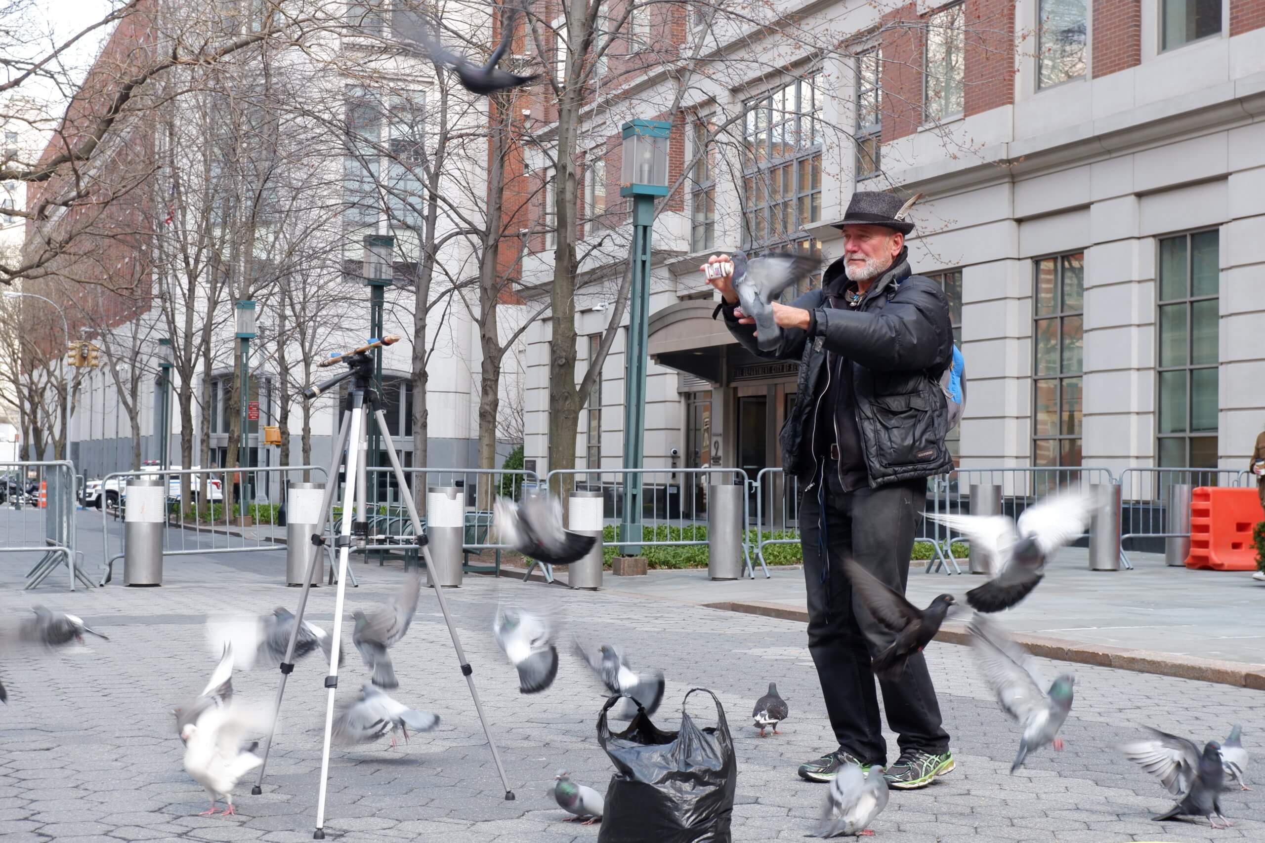 Meet Downtown Brooklyn’s pigeon whisperer • Brooklyn Paper