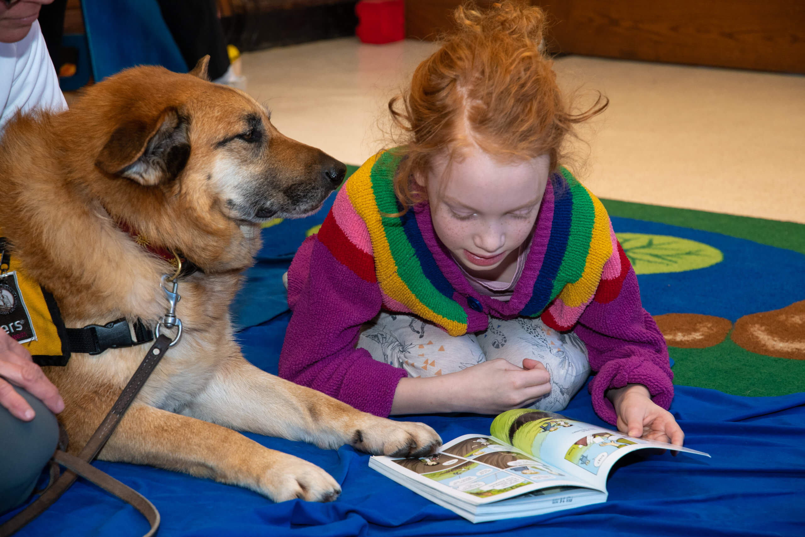 Therapy dog teaches children to love reading at Brooklyn Public Library ...