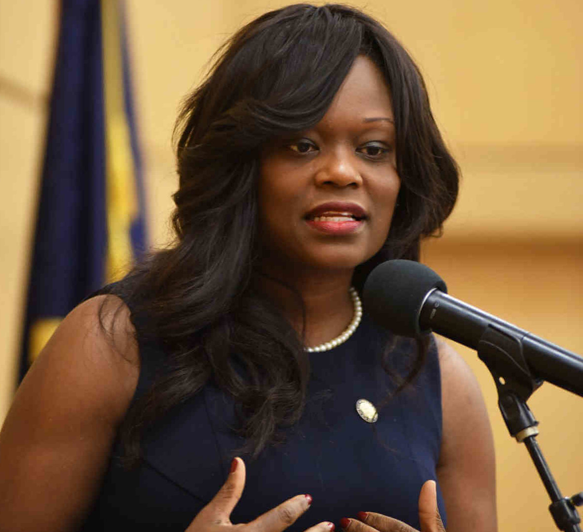 Brooklyn’s young progressives seek to suspend legal challenges to ...