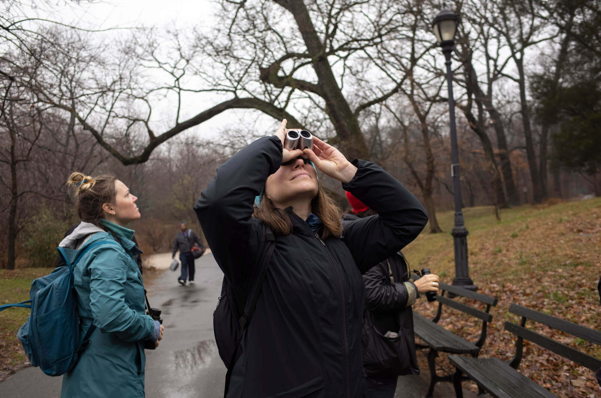 How and where to go bird watching in Brooklyn