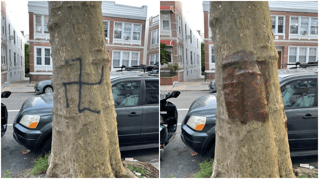 NYPD, state police investigating swastika painted on a tree in Bay ...