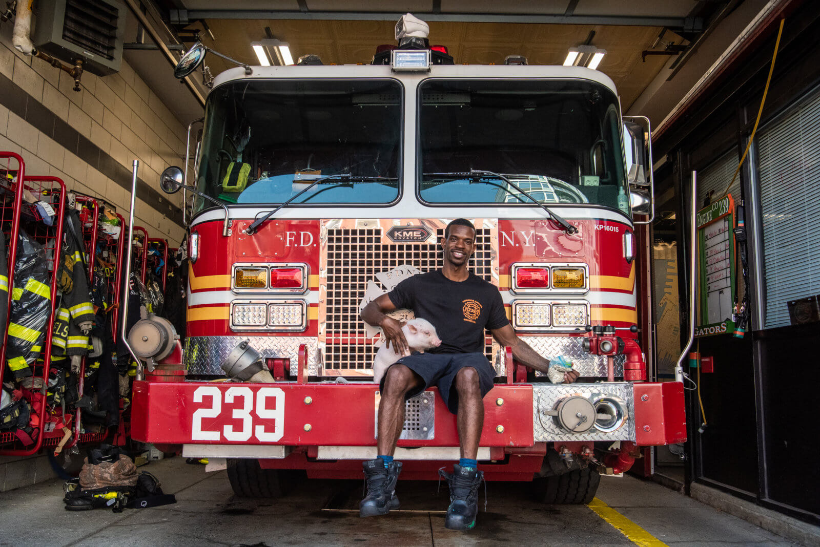 ‘Fire Pig’ Penny warms hearts of firefighters and Park Slope community ...