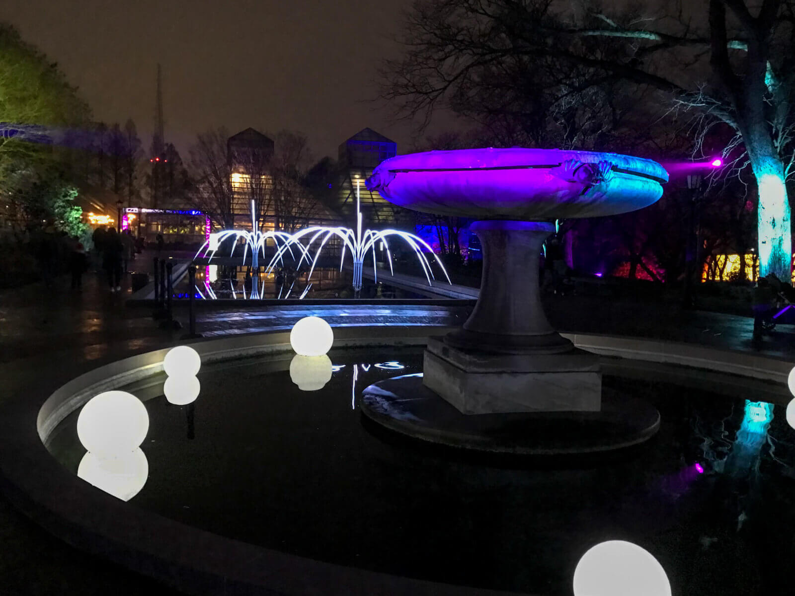 Photos: Lightscape lights up Brooklyn Botanic Garden • Brooklyn Paper