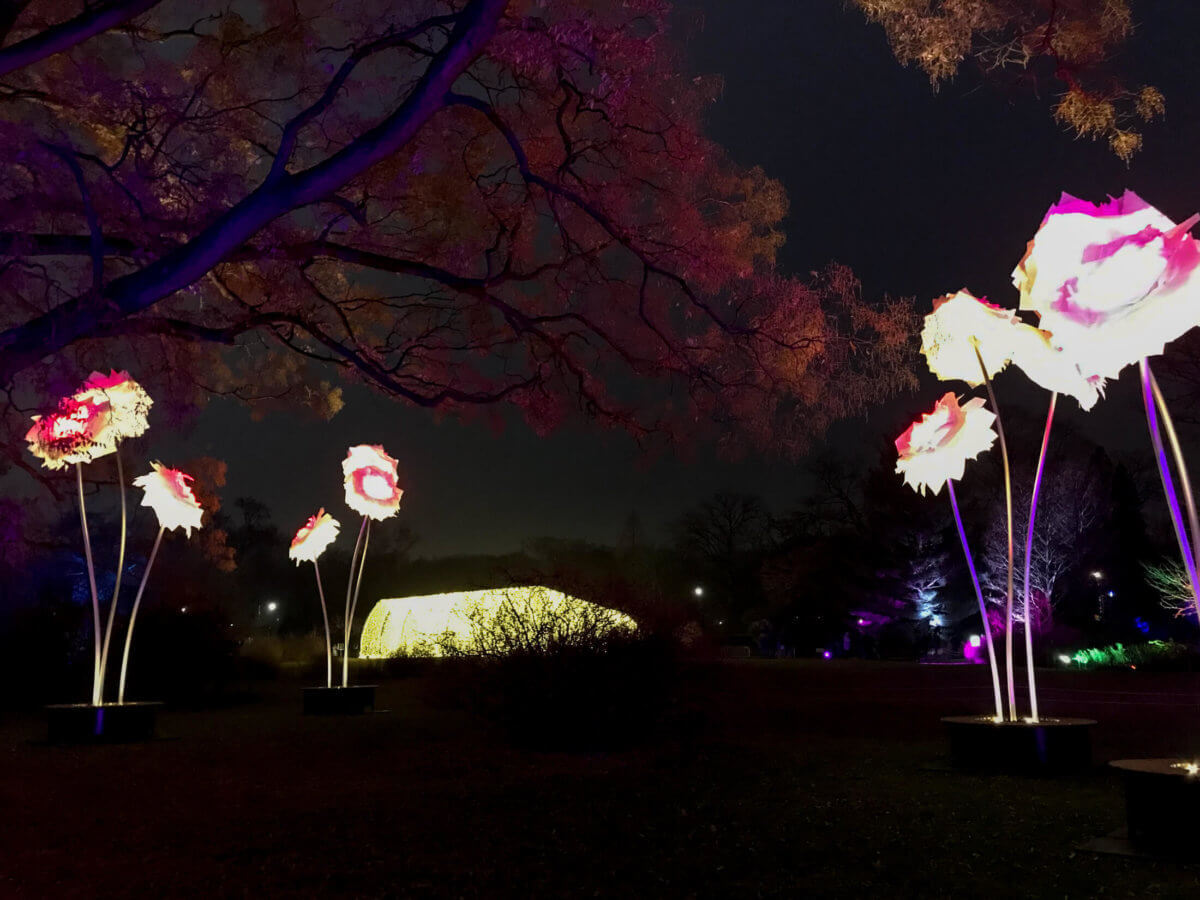 Photos: Lightscape lights up Brooklyn Botanic Garden • Brooklyn Paper