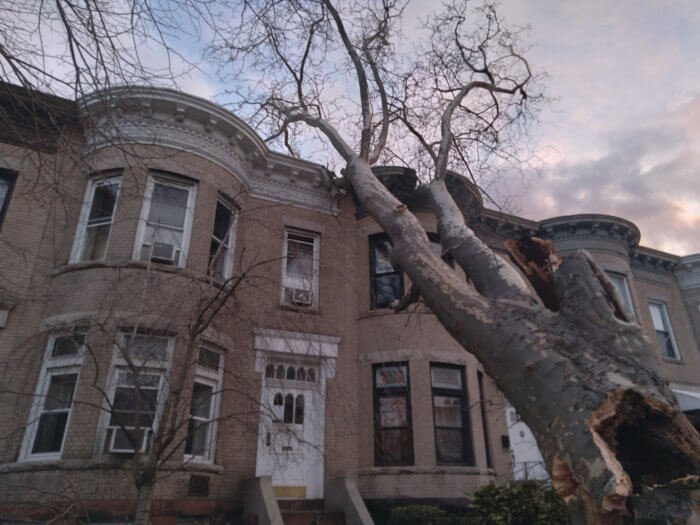 Bay Ridge Archives • Brooklyn Paper