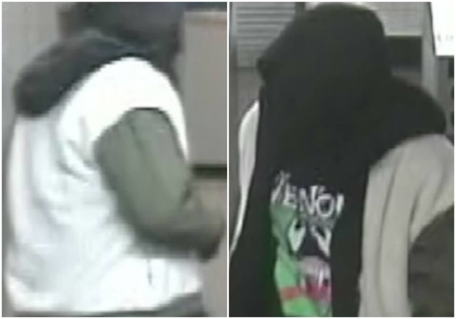 Artists remember restoring Dumbo carousel ahead of first ever ‘Jane’s ...