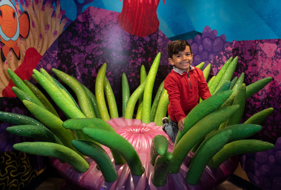 Surfside Community Center reopens after seven years of repairs ...