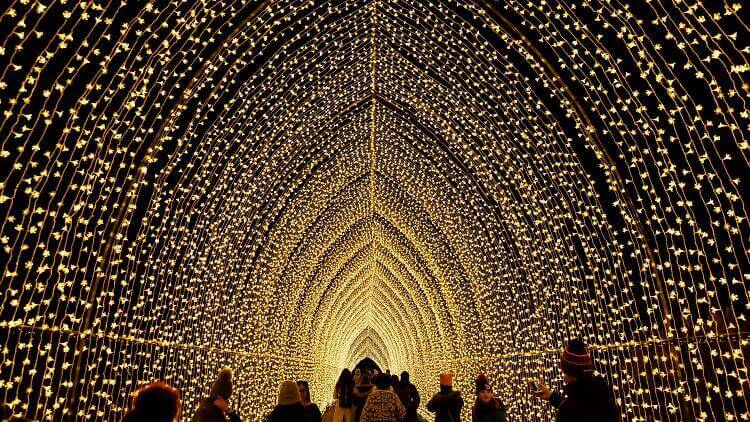 Winter is Coming: Brooklyn Botanic Garden promises most extravagant ...