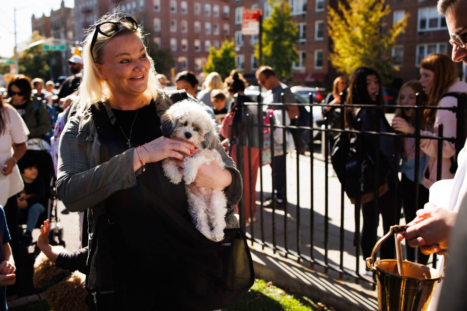 Fuzzy Brooklynites blessed across the borough at annual Blessing of the ...
