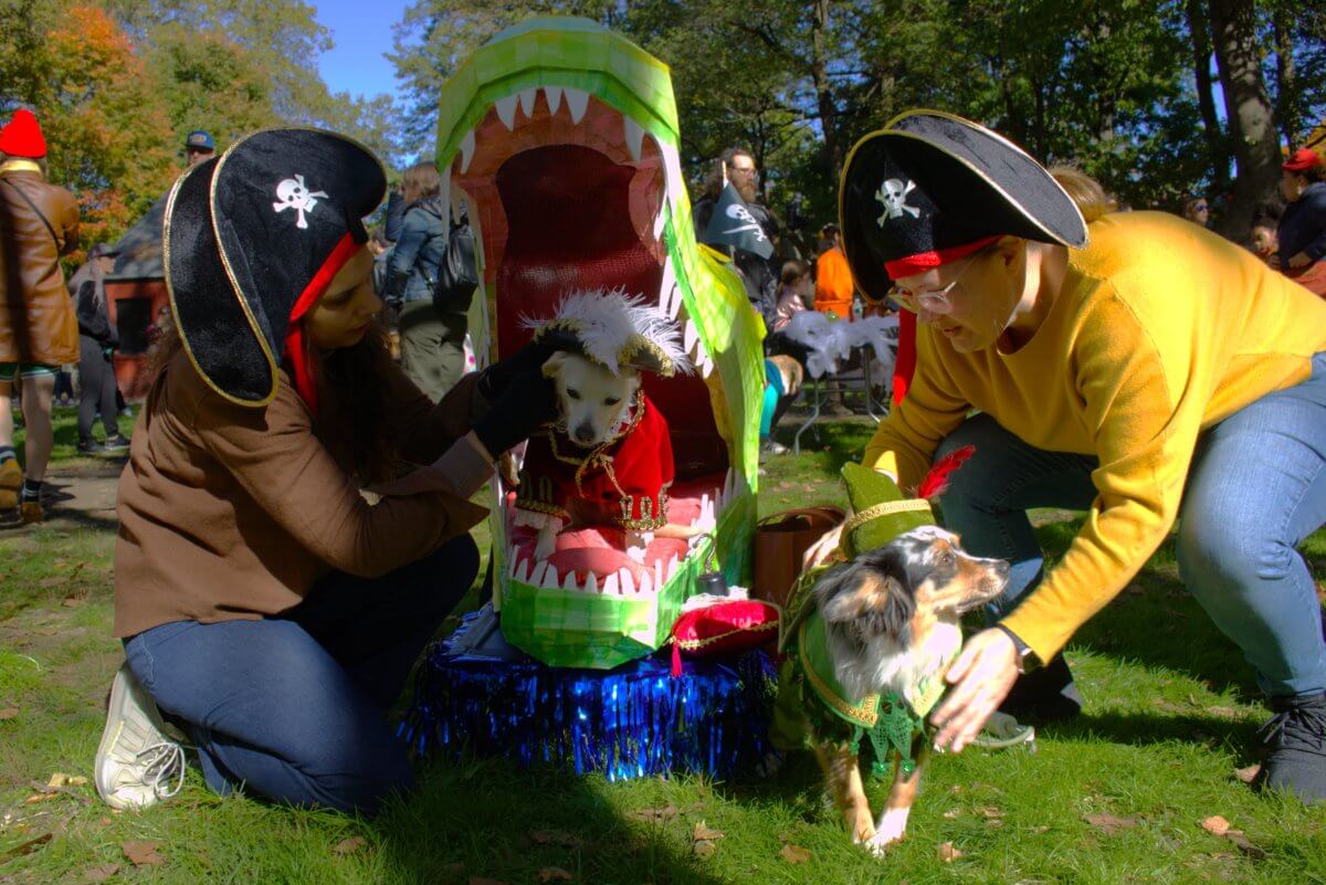 PHOTOS: Gators, trains, and snacks, oh my! Dressed-up dogs flock to ...