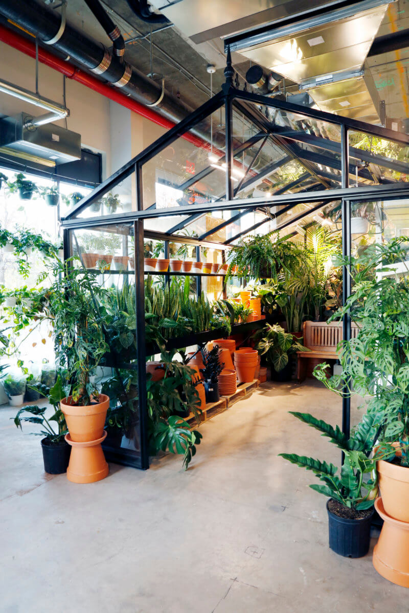 Petal to the metal: Brooklyn’s largest indoor plant store, Horti PLAY, opens in Williamsburg ...