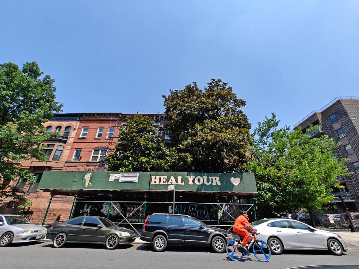 Bed-Stuy’s Magnolia Tree Earth Center, at risk of closing, gets $20k ...