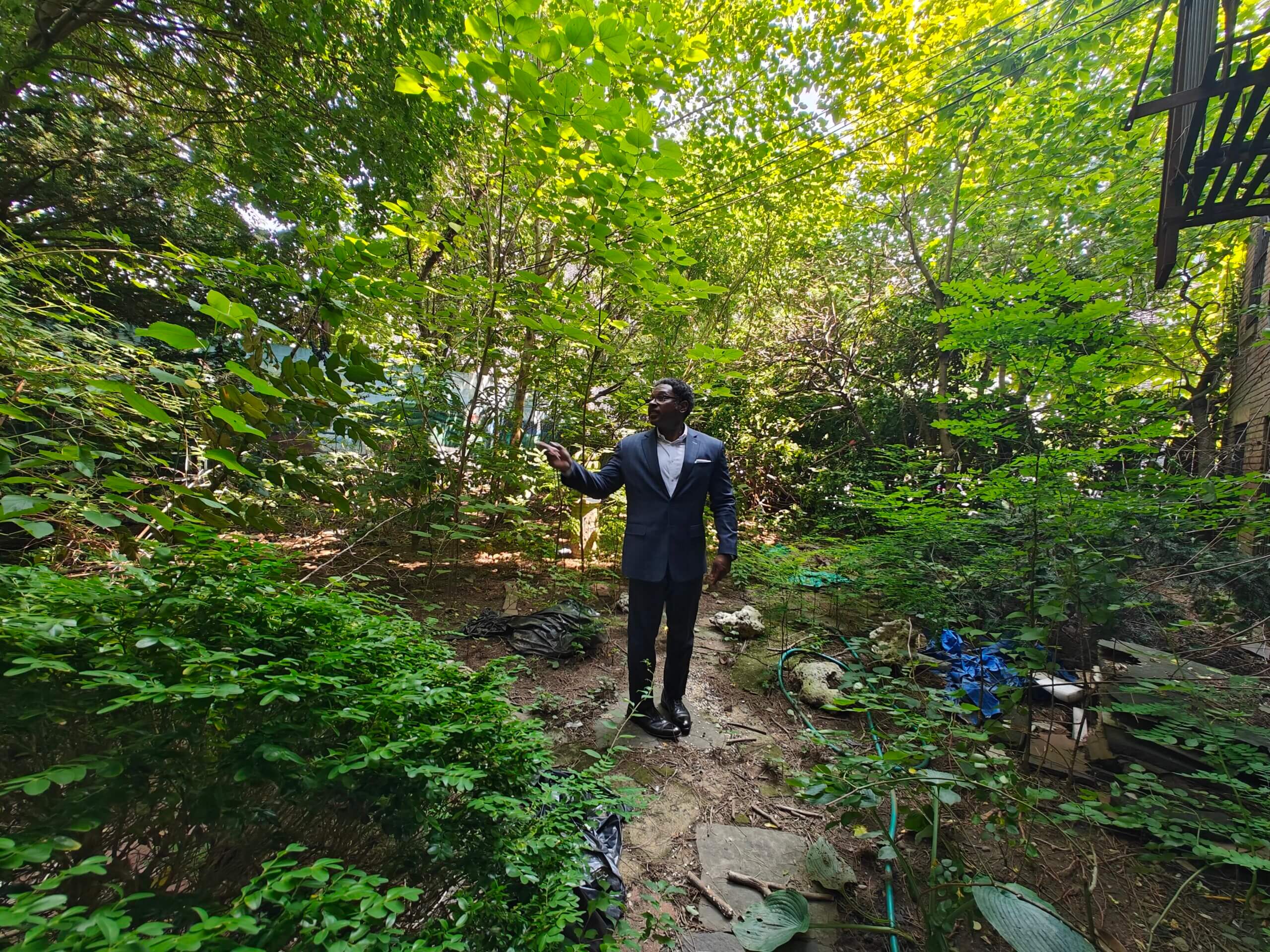 Bed-Stuy’s Magnolia Tree Earth Center, at risk of closing, gets $20k ...