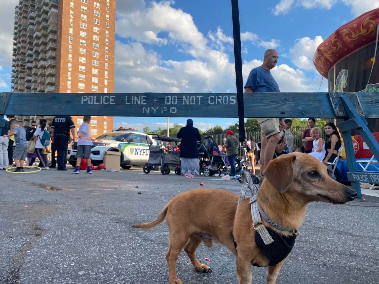 Brooklyn cops join in family-friendly fun for National Night Out ...