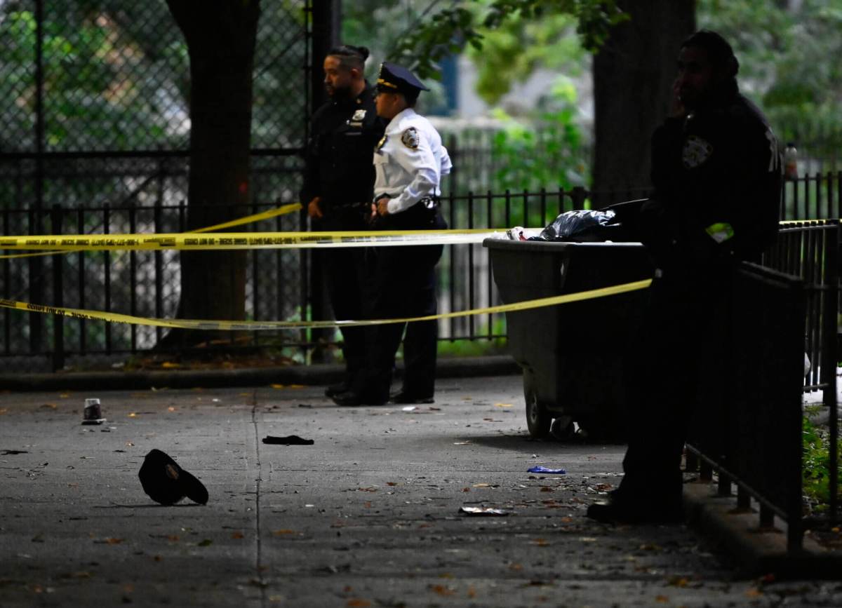 18-year-old arrested in connection to Sumner Houses murder: NYPD ...
