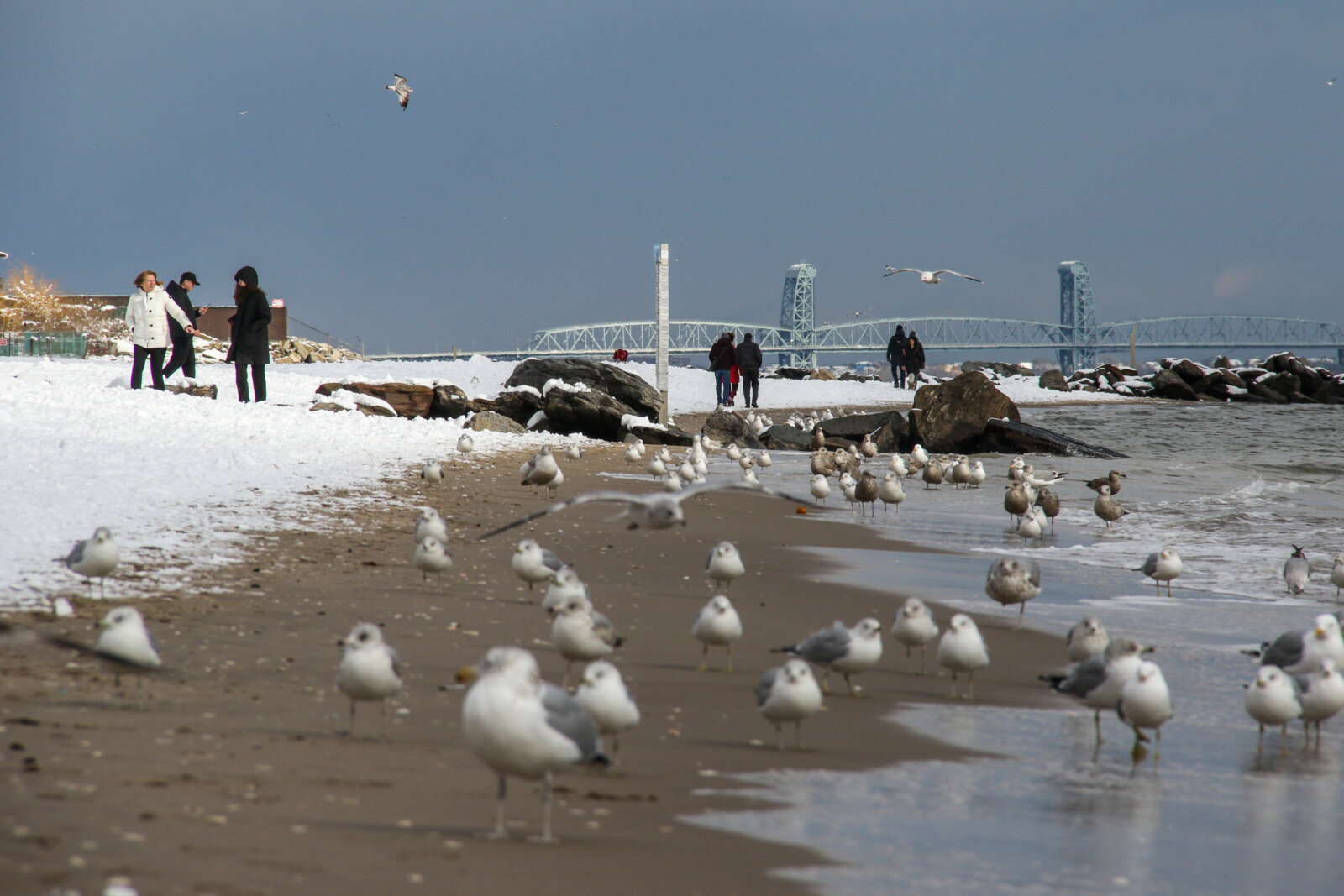Slippery when snowy! Winter weather reveals safety loophole for Coney ...