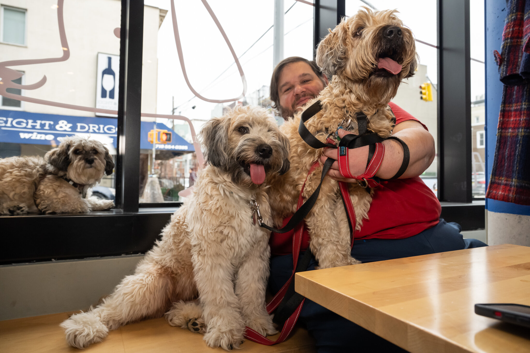 Boris & Horton dog café saved by $250,000 crowdfunding surge in just ...