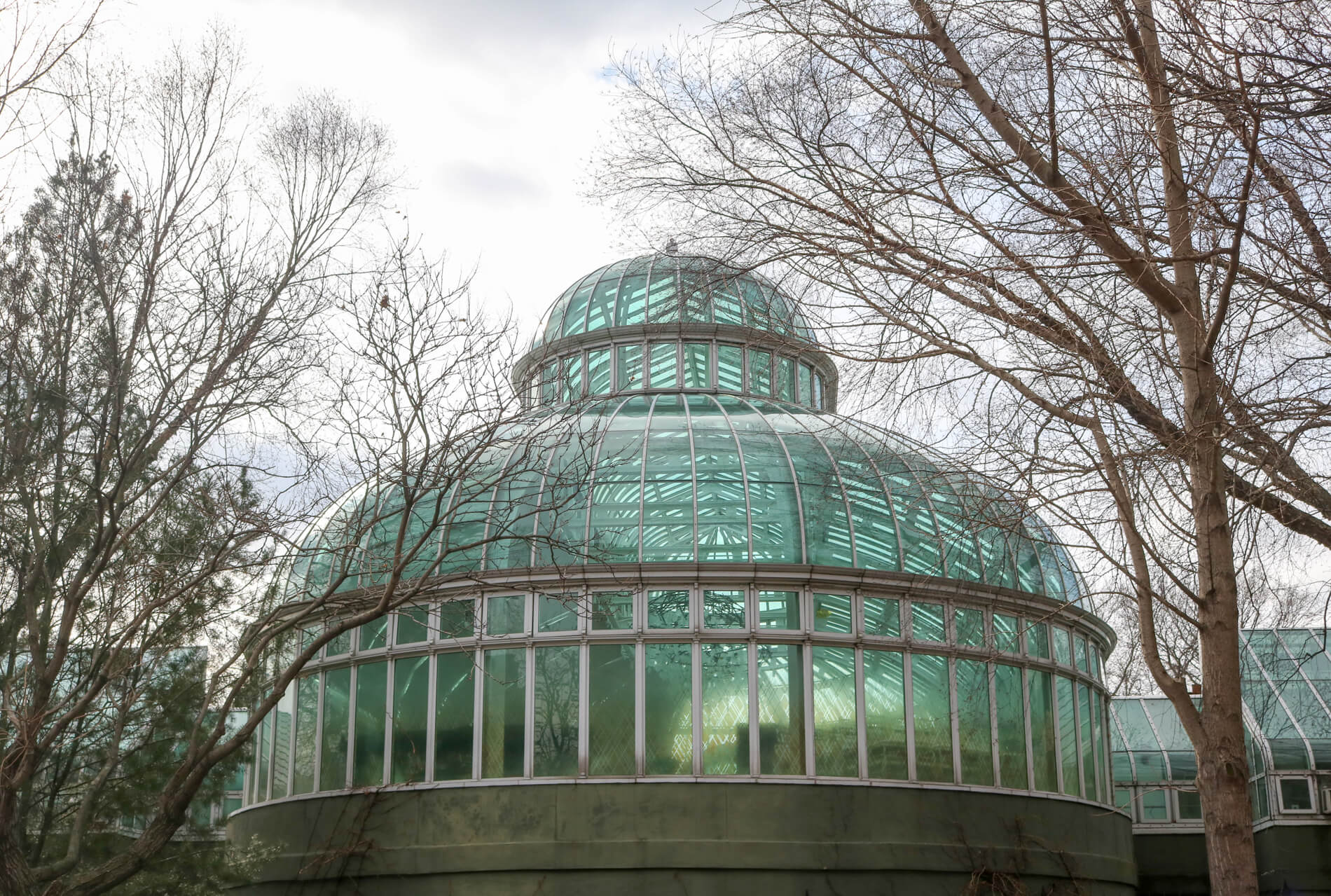 Sunset standoff: Brooklynites push to shield Brooklyn Botanic Garden ...