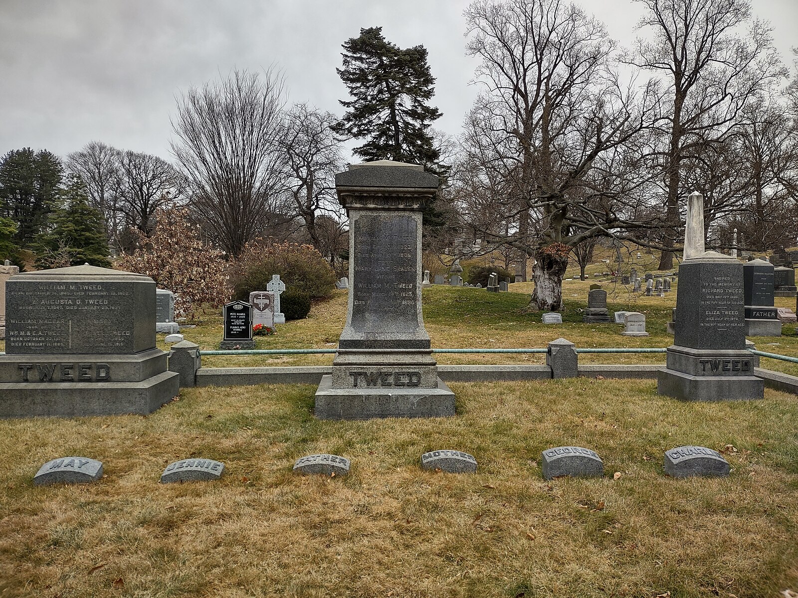 Life and death in Green-Wood Cemetery: Rewilding project revives native ...
