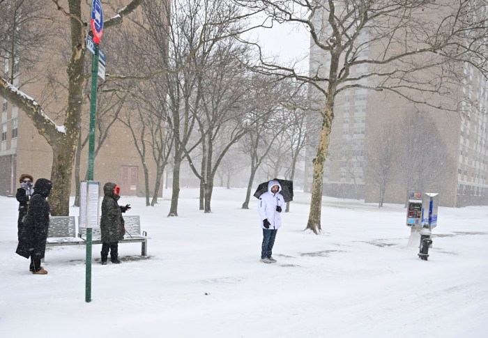 LIVE UPDATES: Winter storm blankets Brooklyn as snowfall continues ...